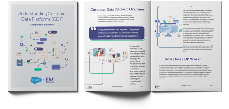 White Papers - EMS Consulting